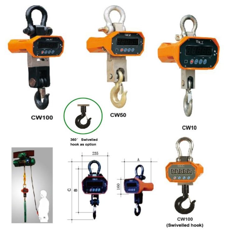 Crane Scale CW Series | I-Lift Equipment Ltd | CN