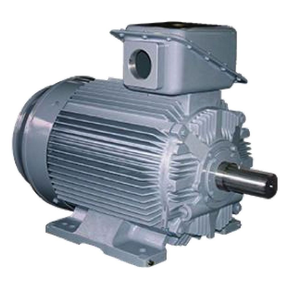 TMEIC 3 Phase High Voltage Induction Motor 21-FII | Bulmal Industrial Supplies Sdn. Bhd. | MY
