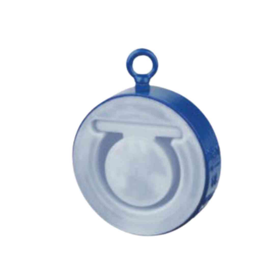 Water Swing Check Valve | MIDI TECHNOLOGIES LLP | SG